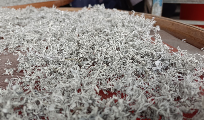 永顺莓茶团体标准PDF - 中国茶叶百科辞典